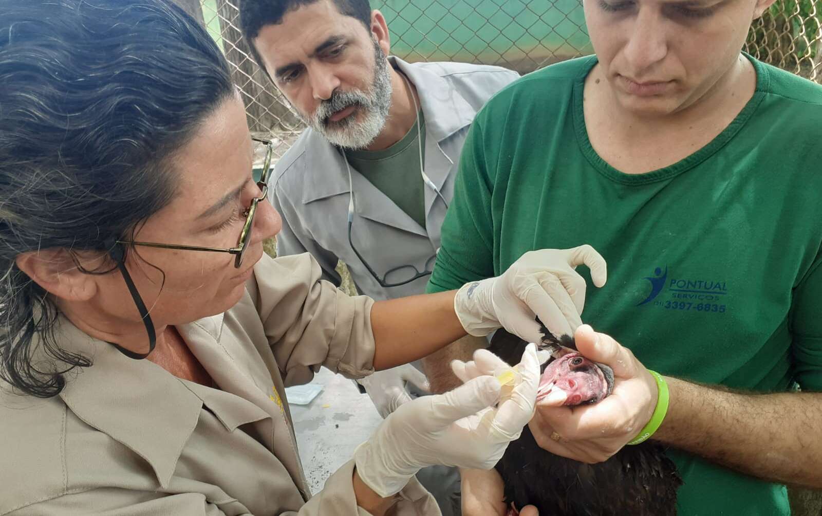 Semace e Ibama se unem para melhorias no Cetas - Superintendência ...